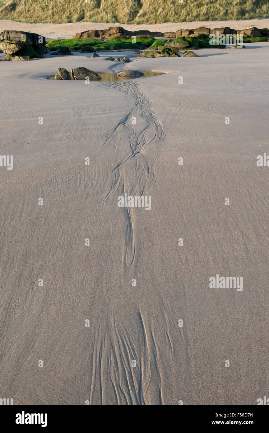 Rippled sand and sea water on a beach at low tide. Northumberland ...