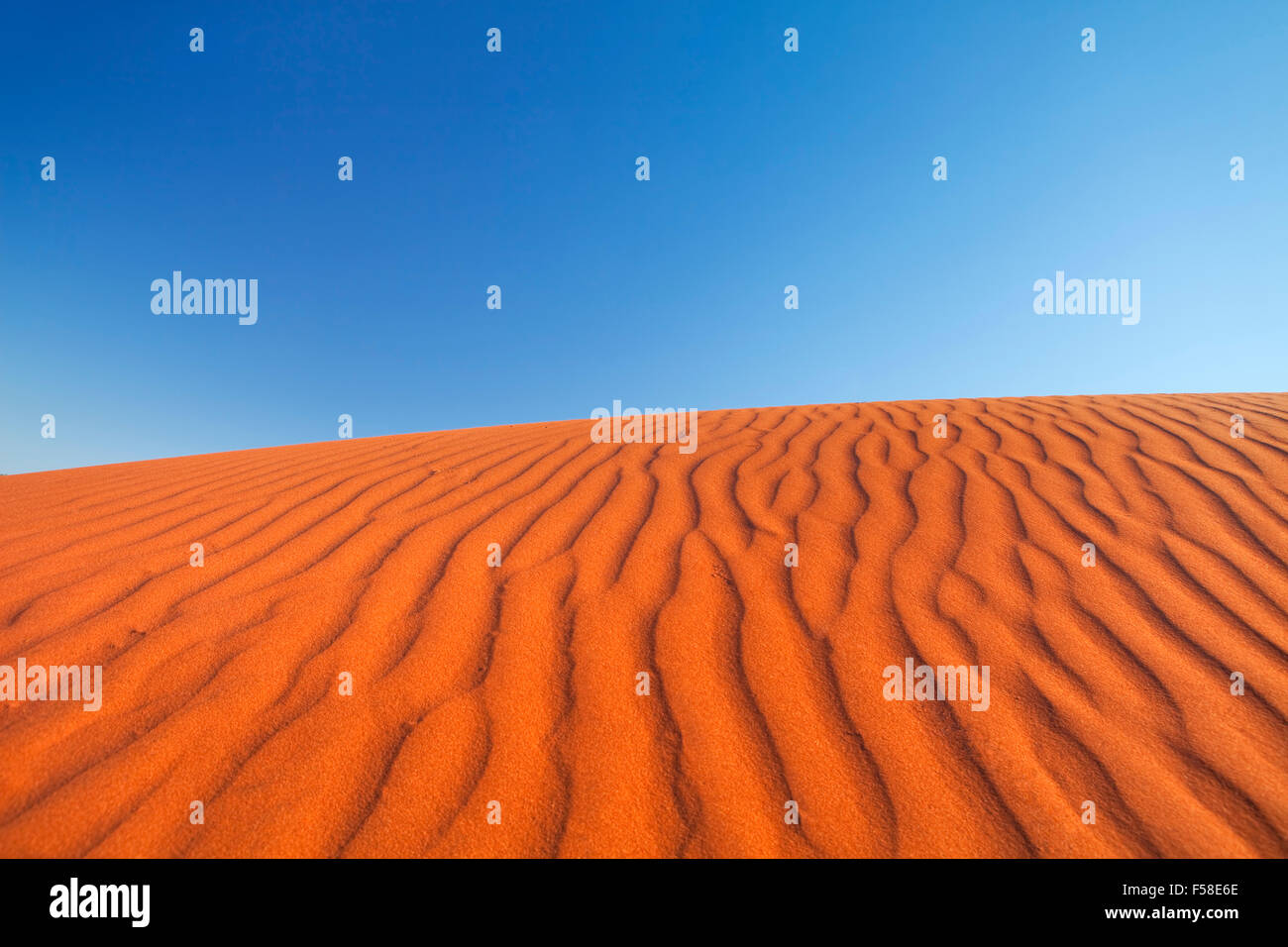 Detail of ripples in a red sand dune on a clear day. Photographed in ...