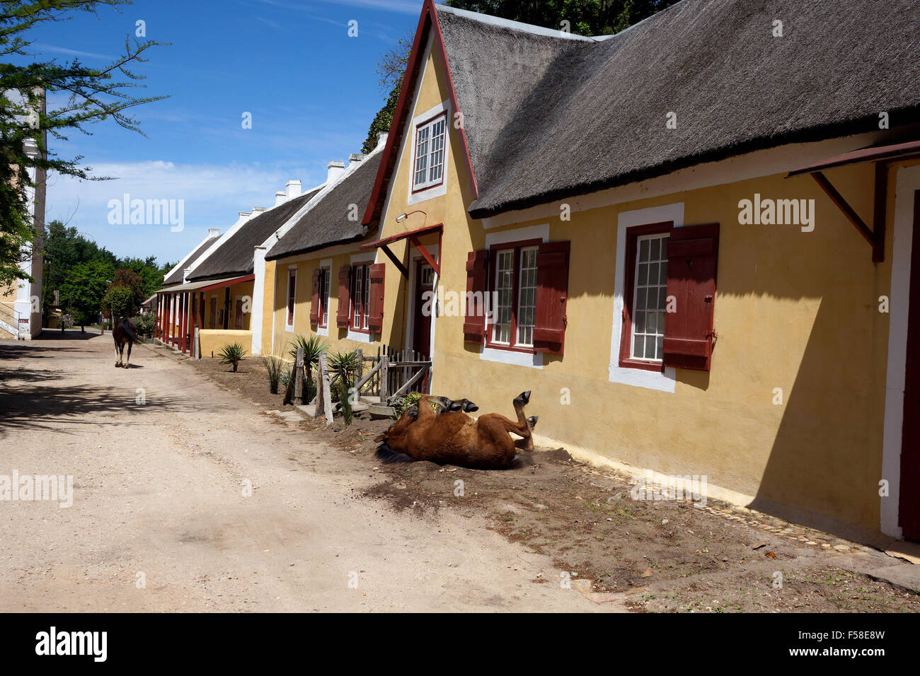 Historical buildings in the museum village of Genadendal , Western Cape ...
