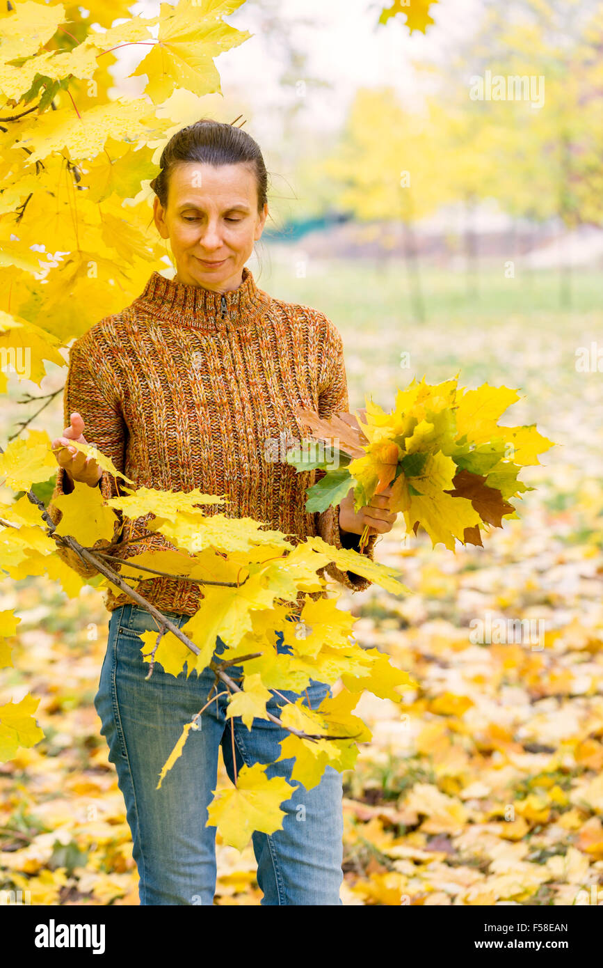 A smiling adult caucasian woman is picking yellow maple leaves in ...