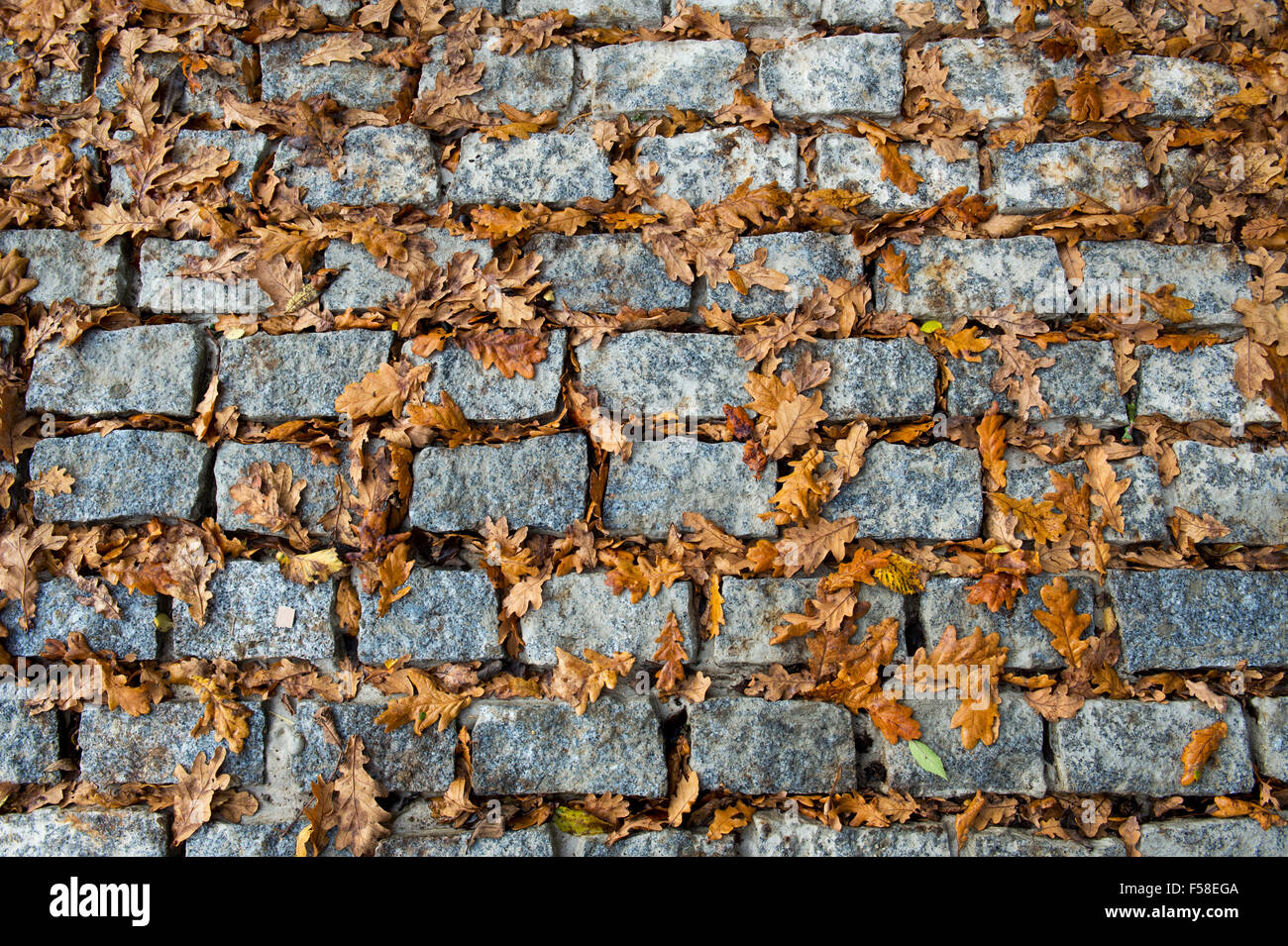 Block paving pattern hi-res stock photography and images - Alamy