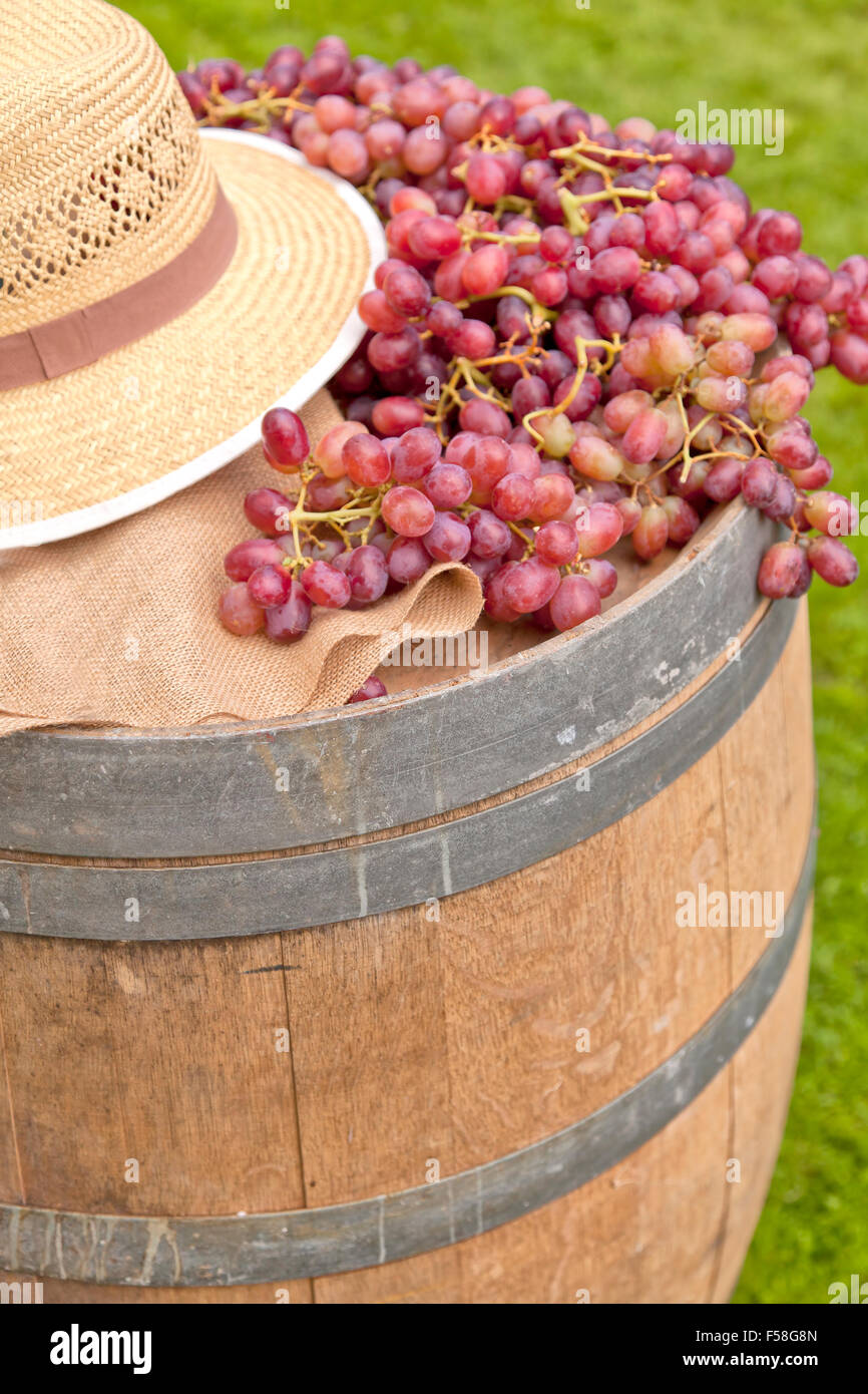 Wine barrel display hi-res stock photography and images - Alamy