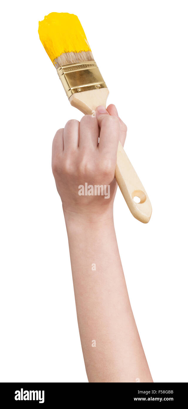 painter hand with flat paint brush paints in yellow paint isolated on ...