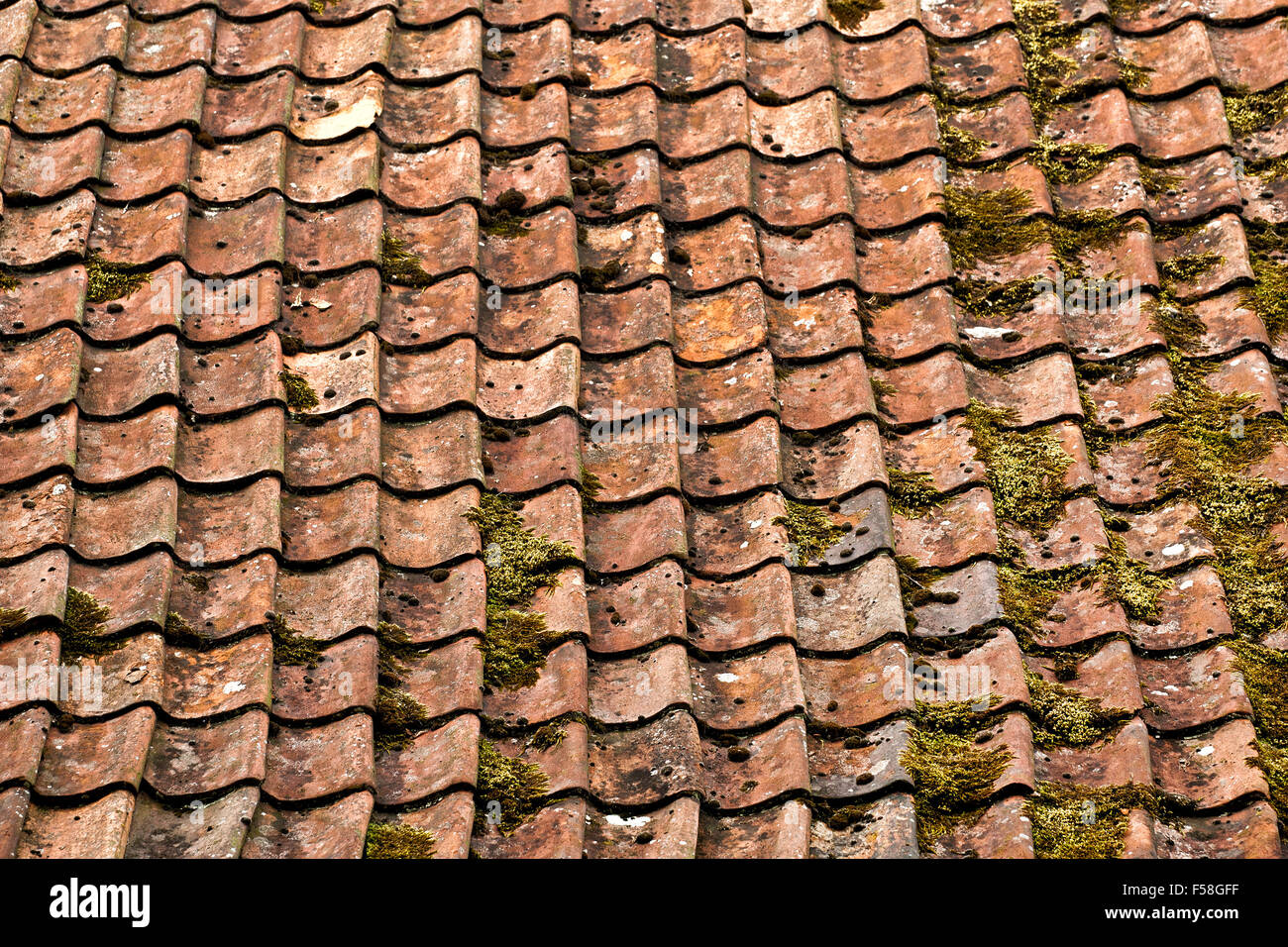 The old tile roof Stock Photo - Alamy