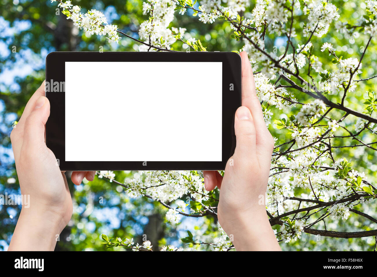 travel concept - hand holds tablet pc with cut out screen and white ...
