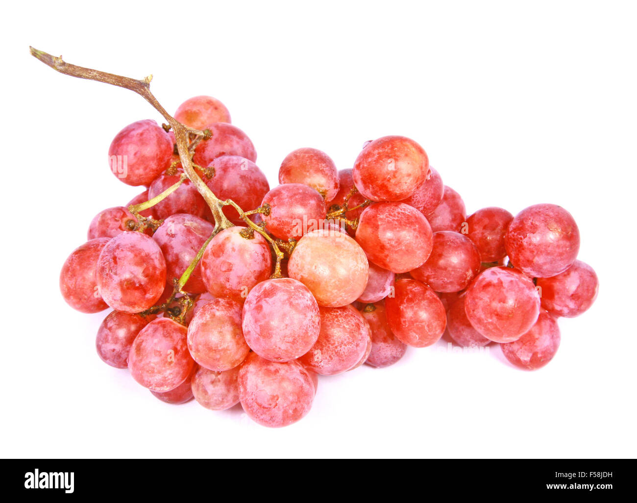 Red grapes white background hi-res stock photography and images - Alamy