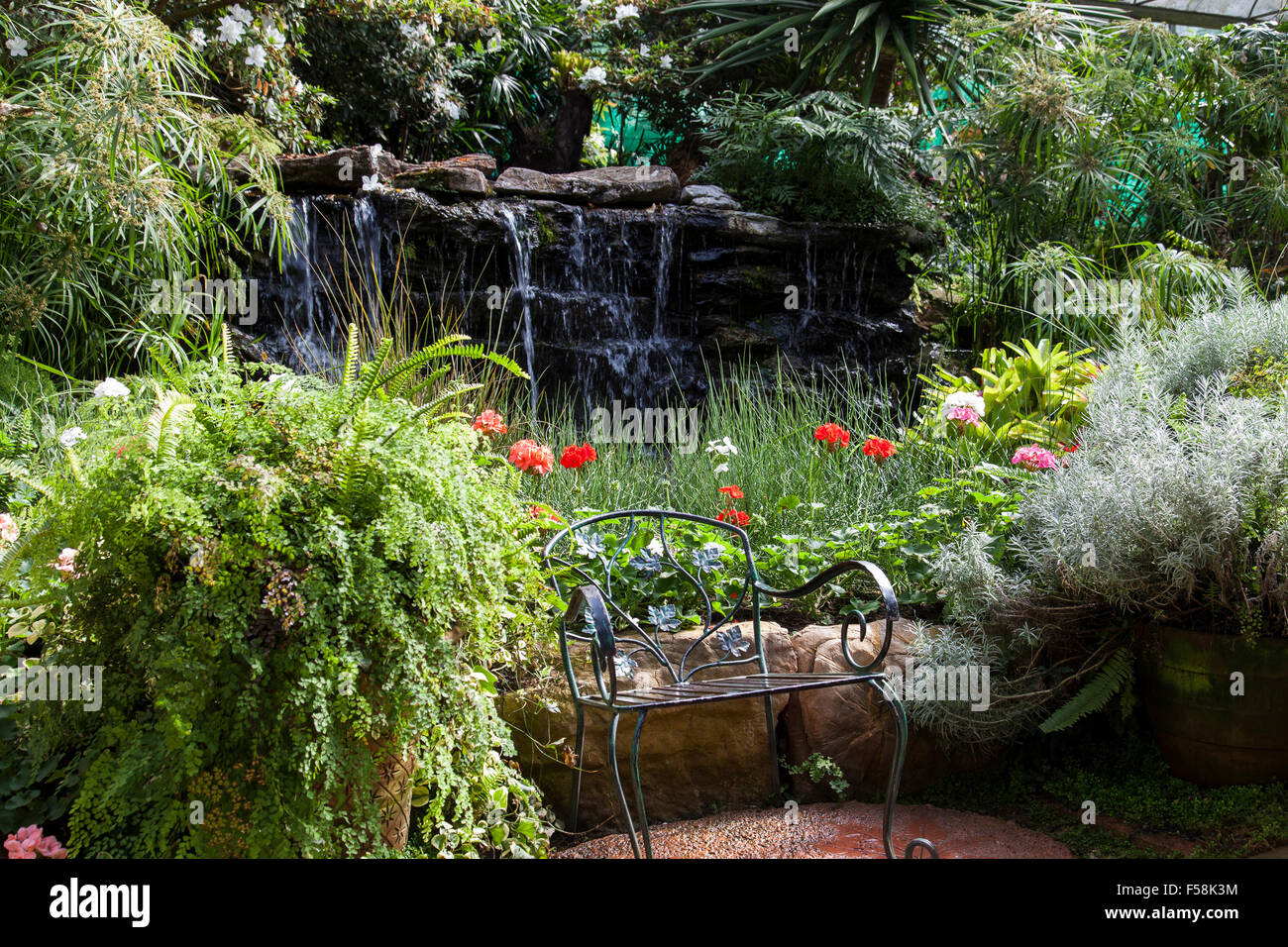 Beautiful garden with waterfall Stock Photo - Alamy