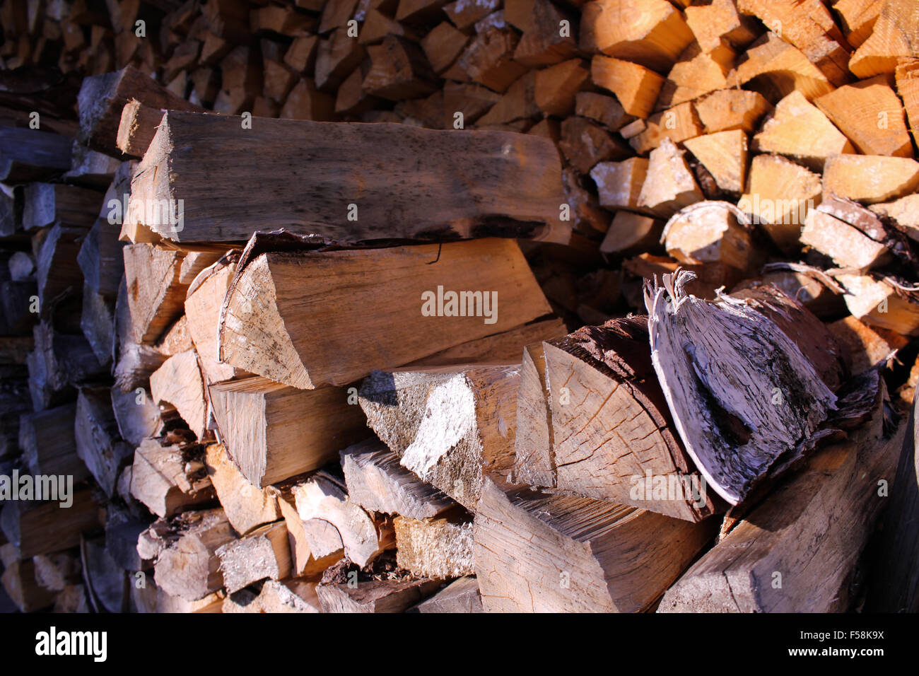 A lot of stacked logs Stock Photo - Alamy