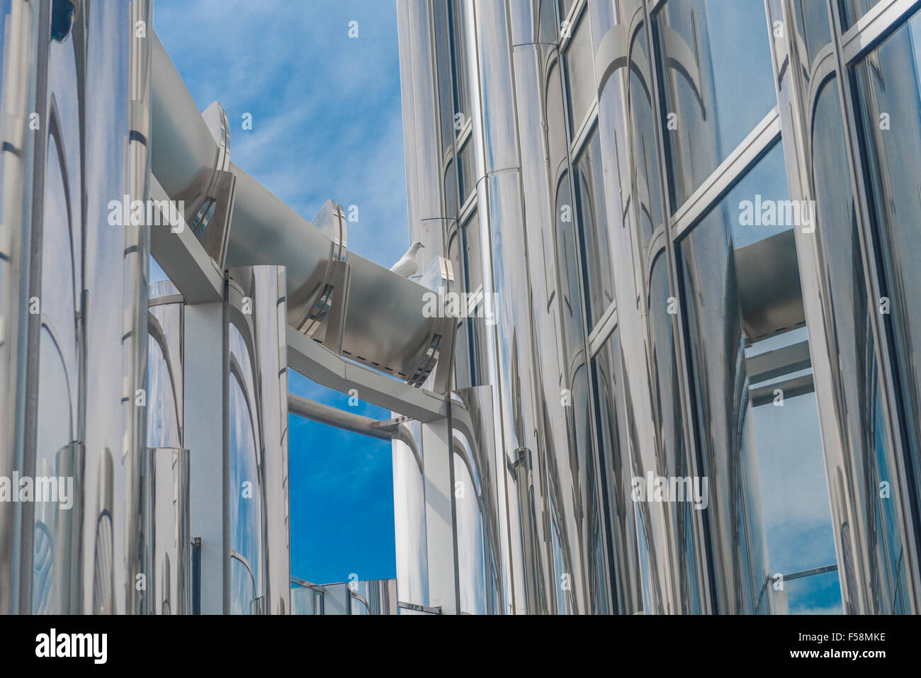 White Dove at the top of the Burj Khalifa Dubai Stock Photo - Alamy