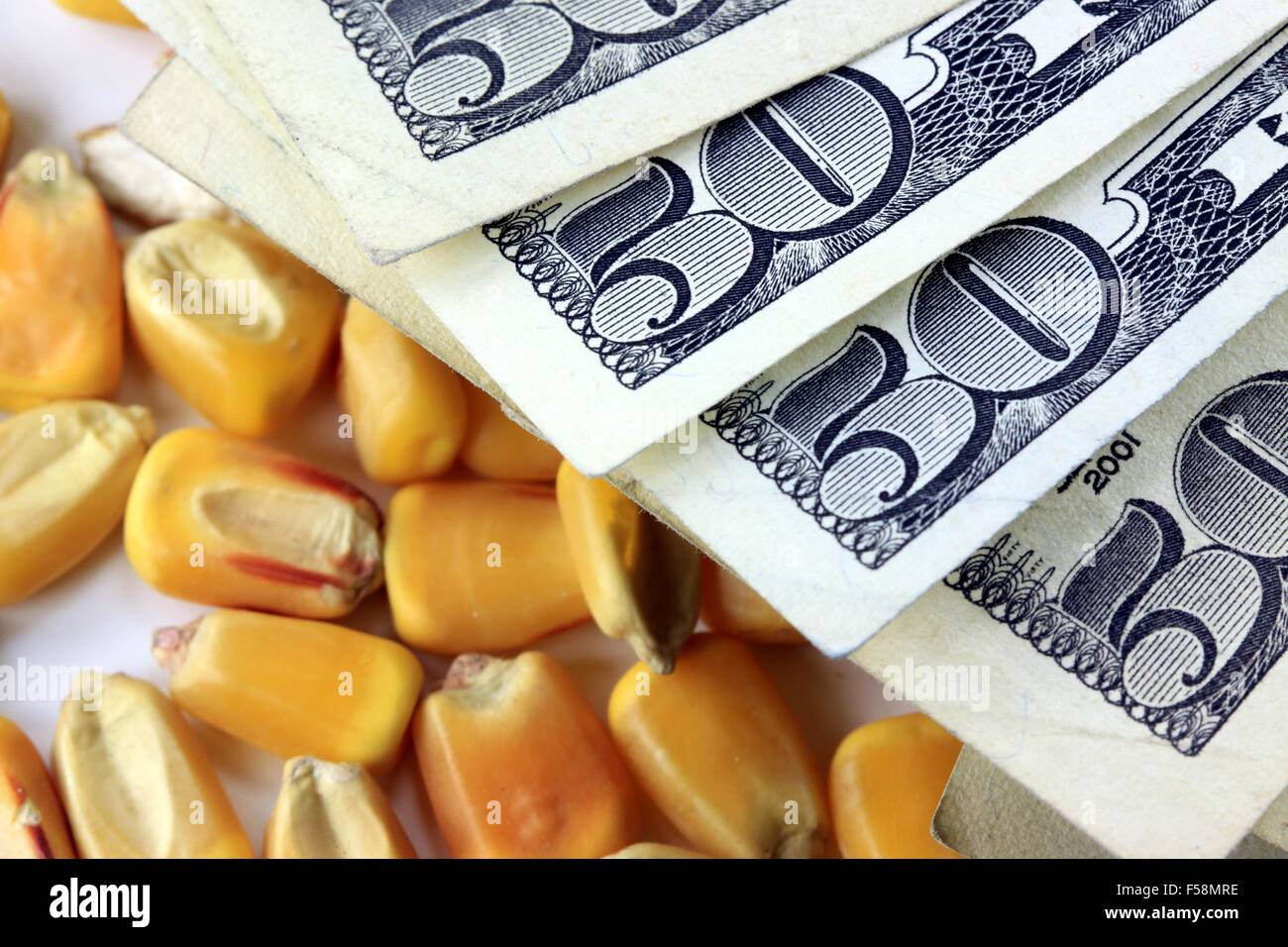 Commodity Trading Concept - US Currency with Yellow Corn Stock Photo ...