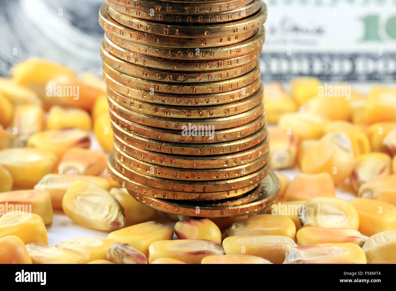 Gold Coins US Currency with Yellow Corn - Commodity Trading Concept ...