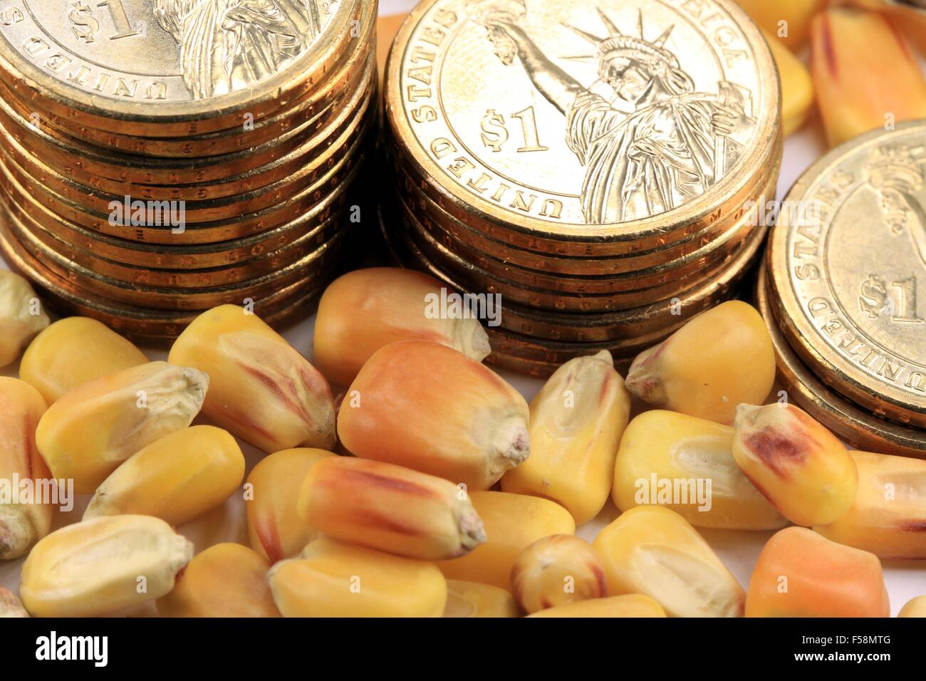 Gold Coins US Currency with Yellow Corn - Commodity Trading Concept ...