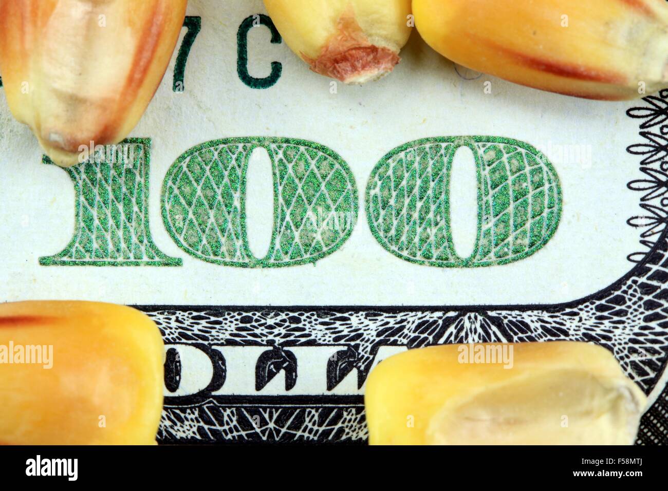 Commodity Trading Concept - US Currency with Yellow Corn Stock Photo ...