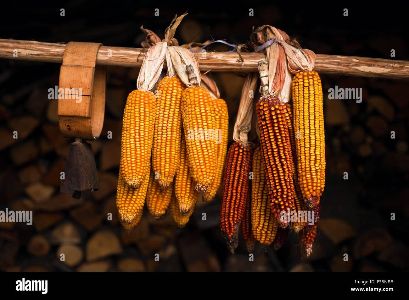 Panicles suspended in drying process Stock Photo - Alamy