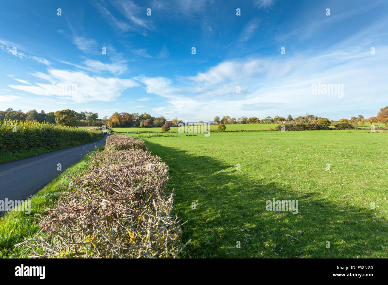 Views of the Kent countryside near Hinxhill between Ashford and Wye ...