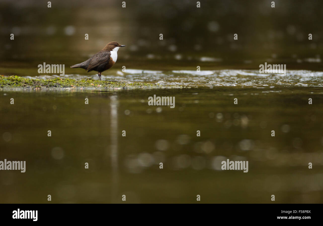 Edge coloring hi-res stock photography and images - Alamy