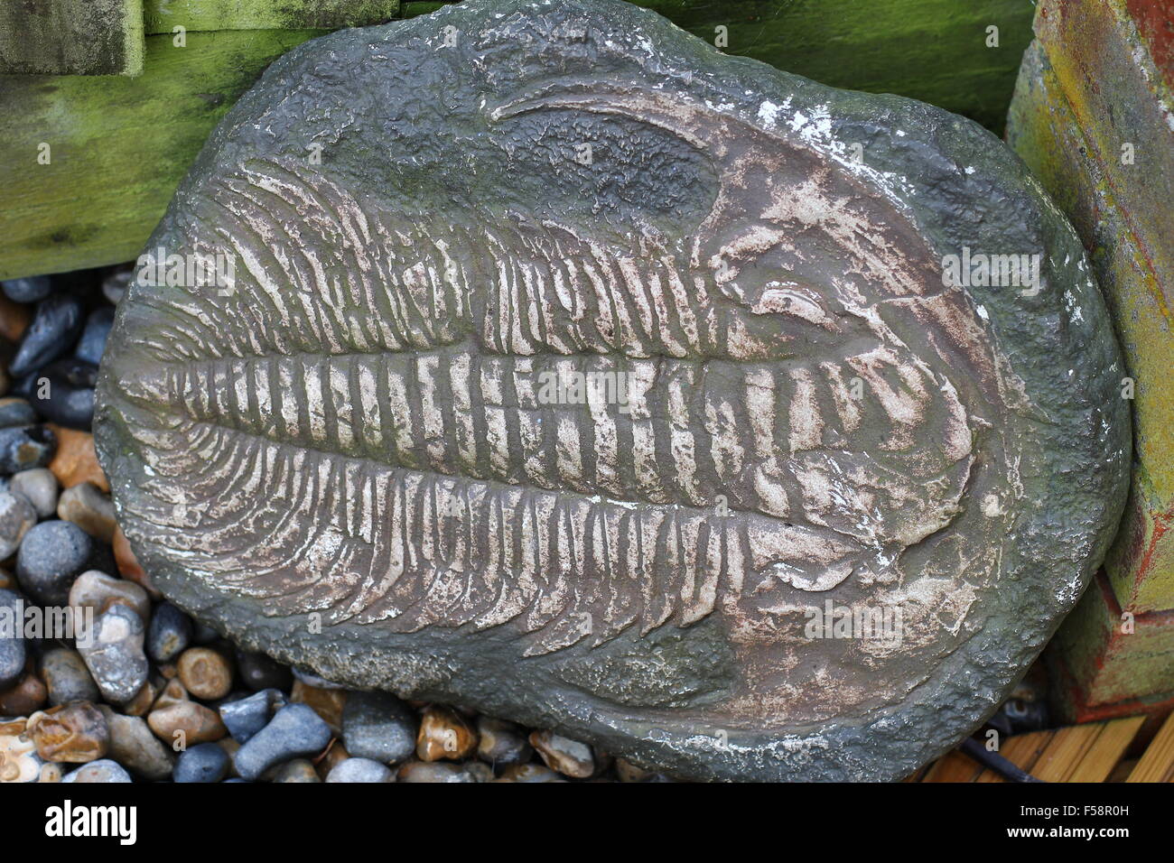 trilobite fossil garden ornament Stock Photo - Alamy