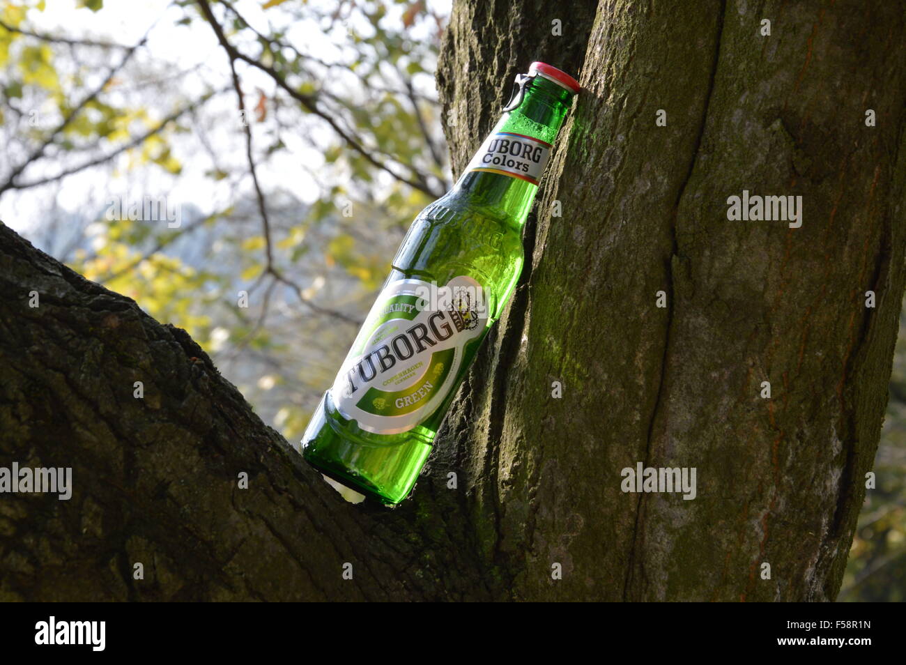 illustrative bottles of beer on the tree in nature.This bottle beer ...