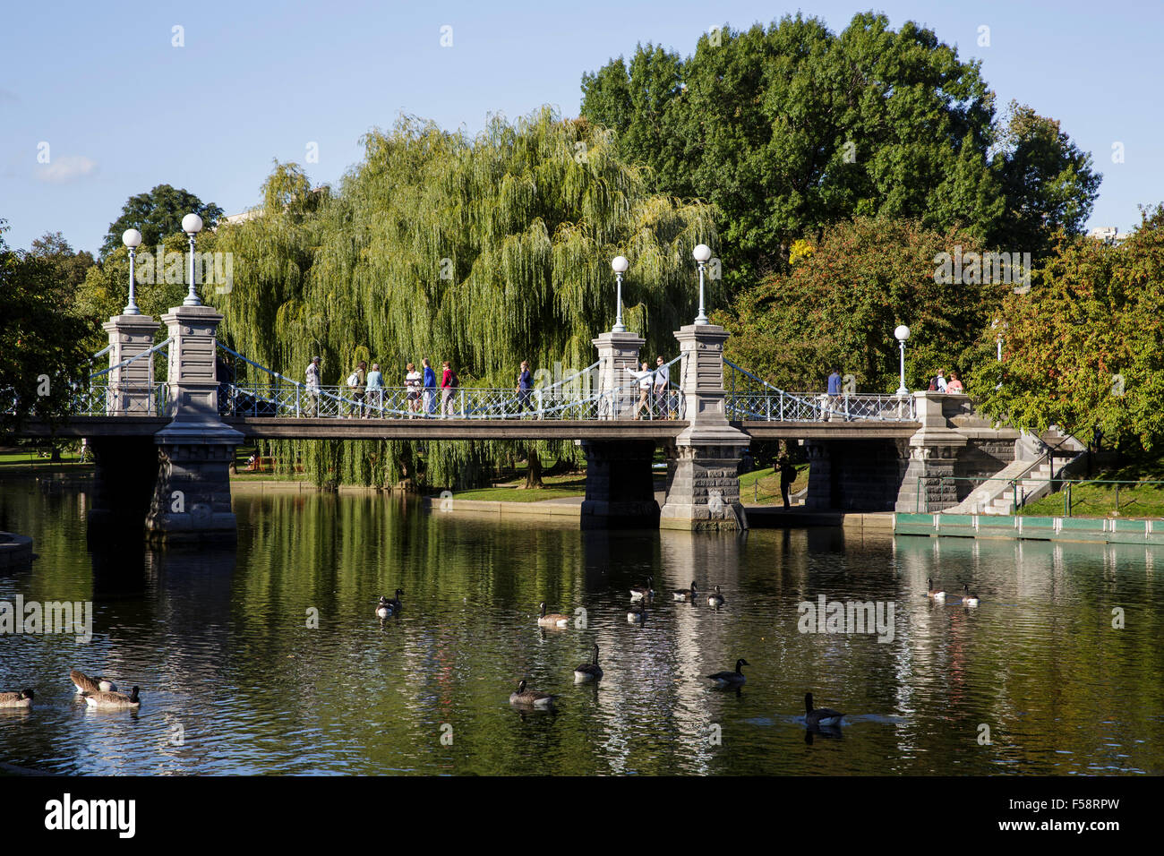 People walk across a bridge over a lake filled with geese in Boston ...