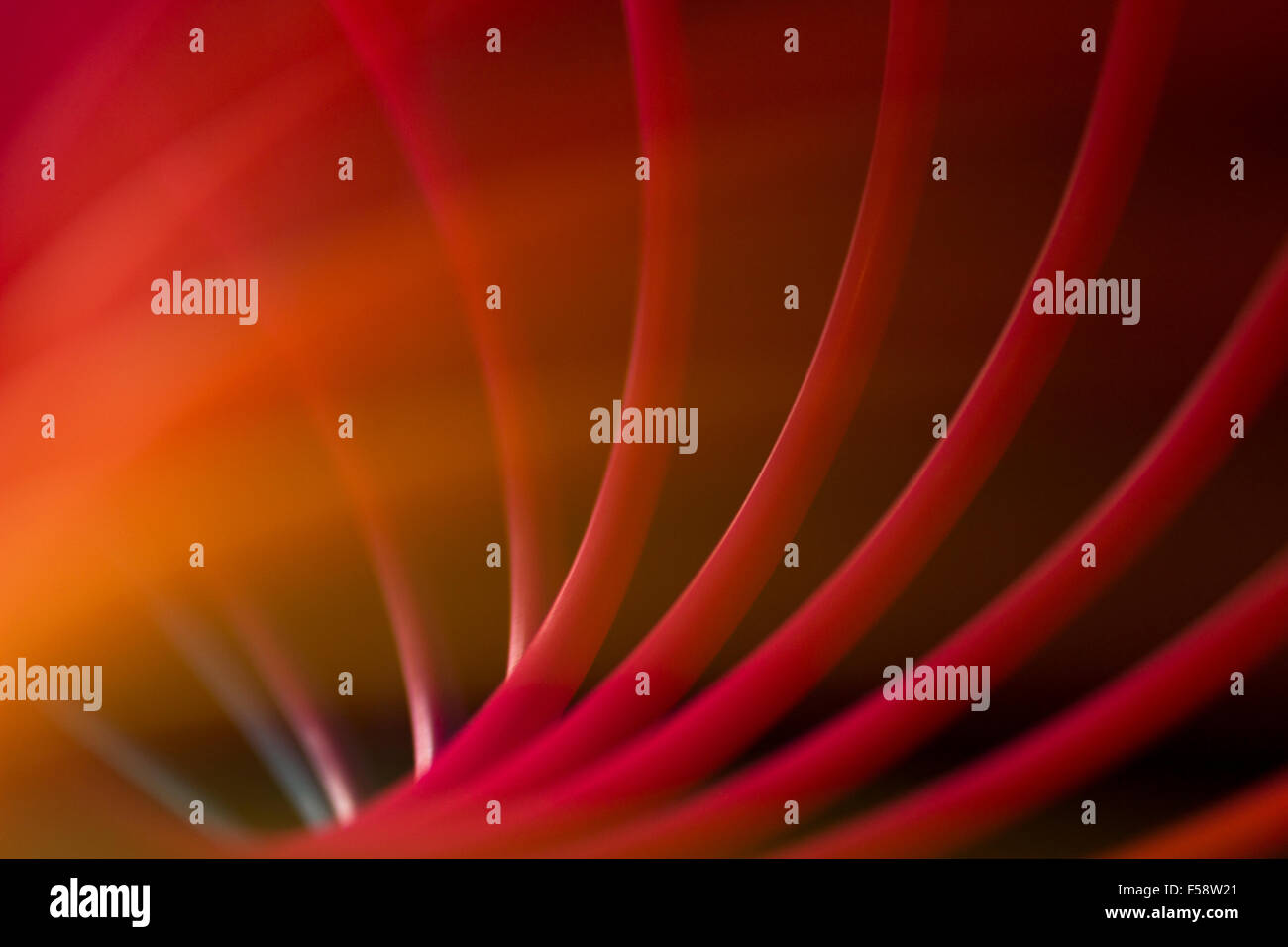 Colorful red color circular art swirl abstract circular round shapes ...