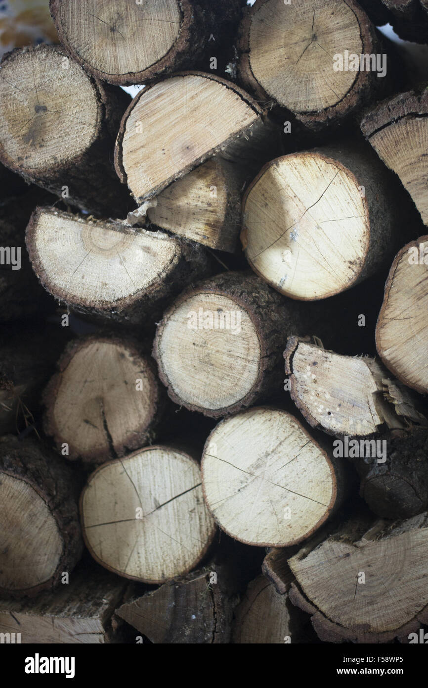Chopped firewood for house fireplace color photo Stock Photo - Alamy