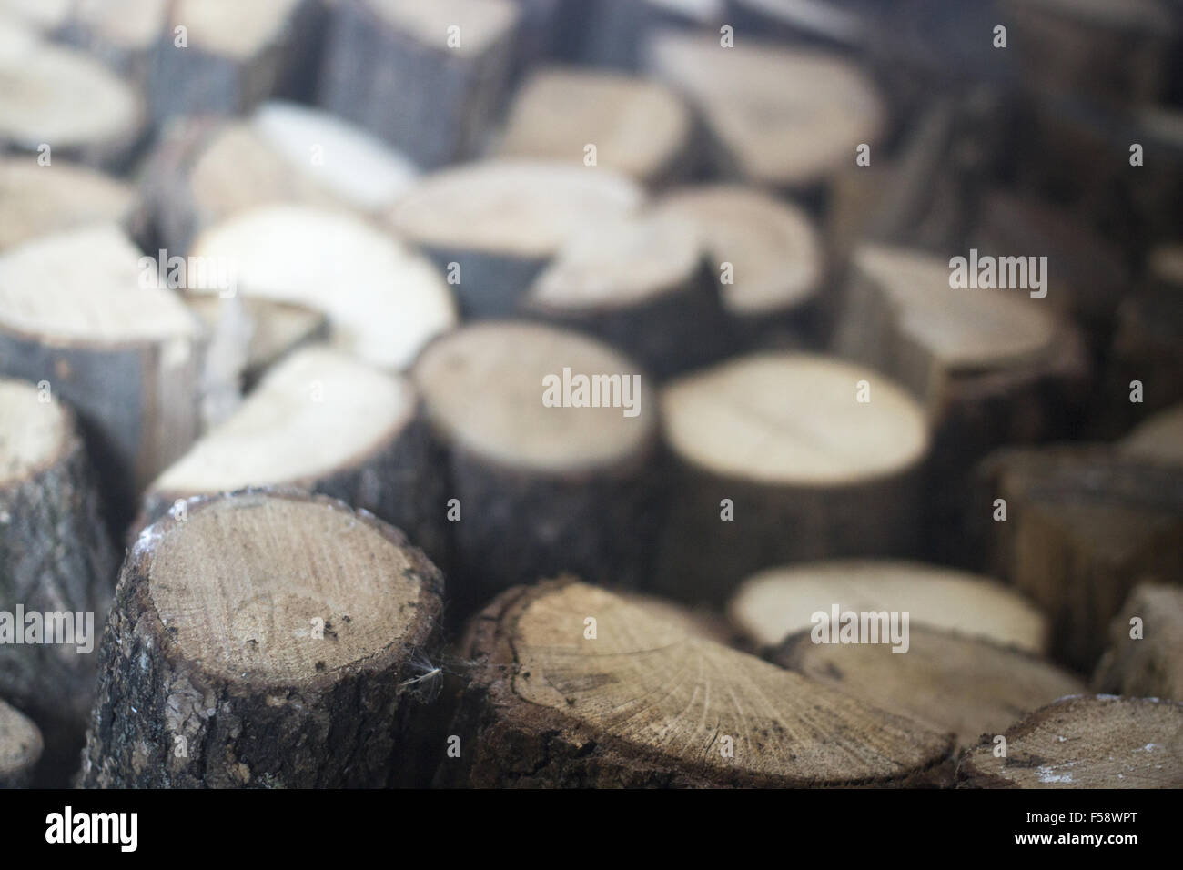 Chopped firewood for house fireplace color photo Stock Photo - Alamy