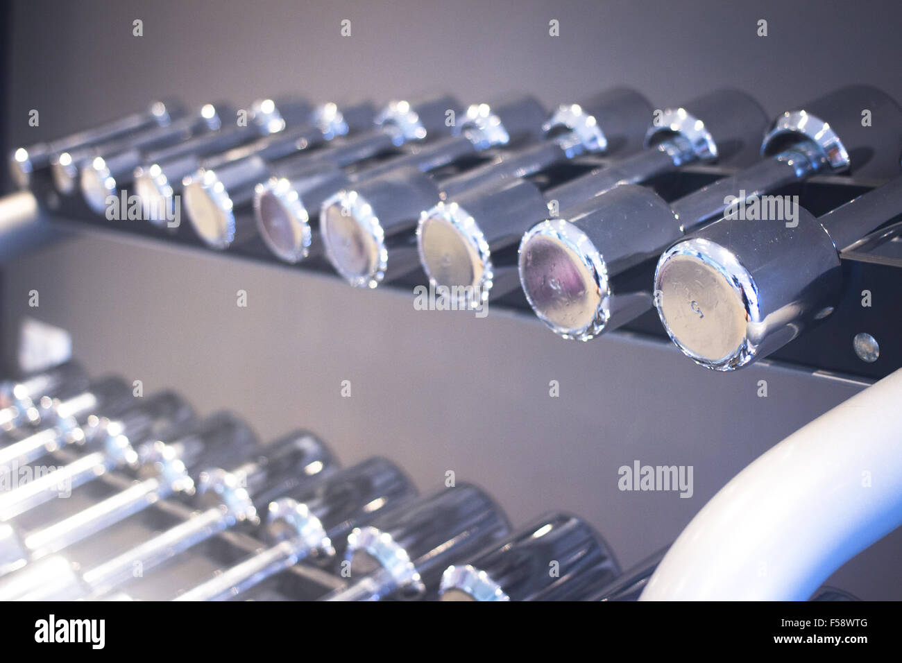 Dumbbell gym metal weights rack in exercise room in sports bodybuilder ...