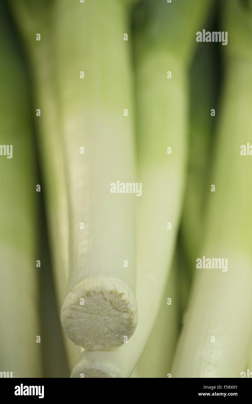Leeks vegetables on sale in supermarket grocers shop on display Stock ...