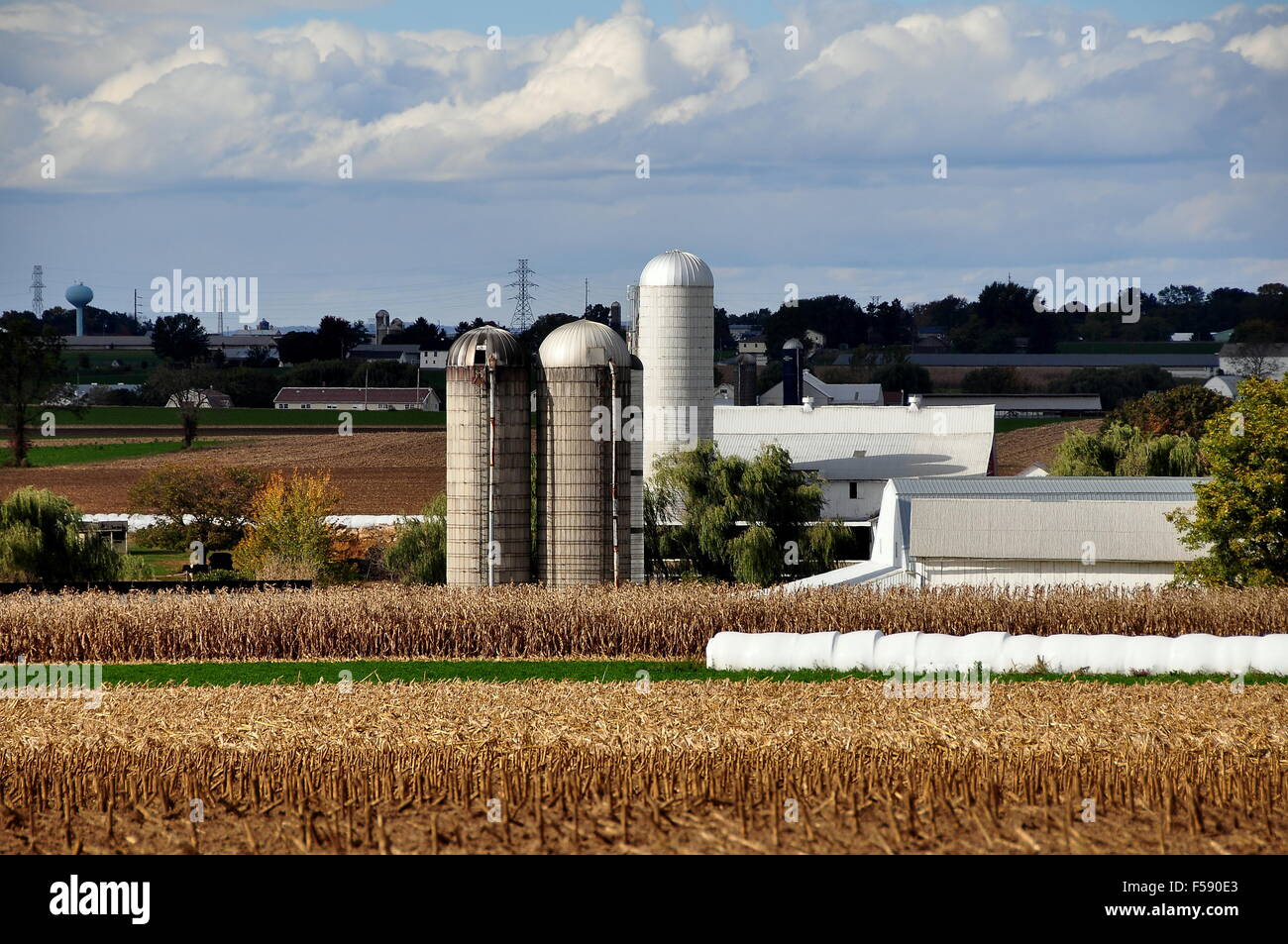 Lancaster County, Pennsylvania: Fields of dried corn on an Amish farm ...