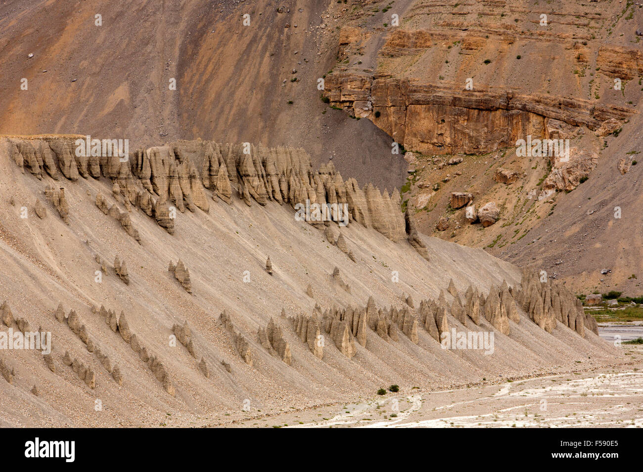 Riverbank with stones hi-res stock photography and images - Alamy