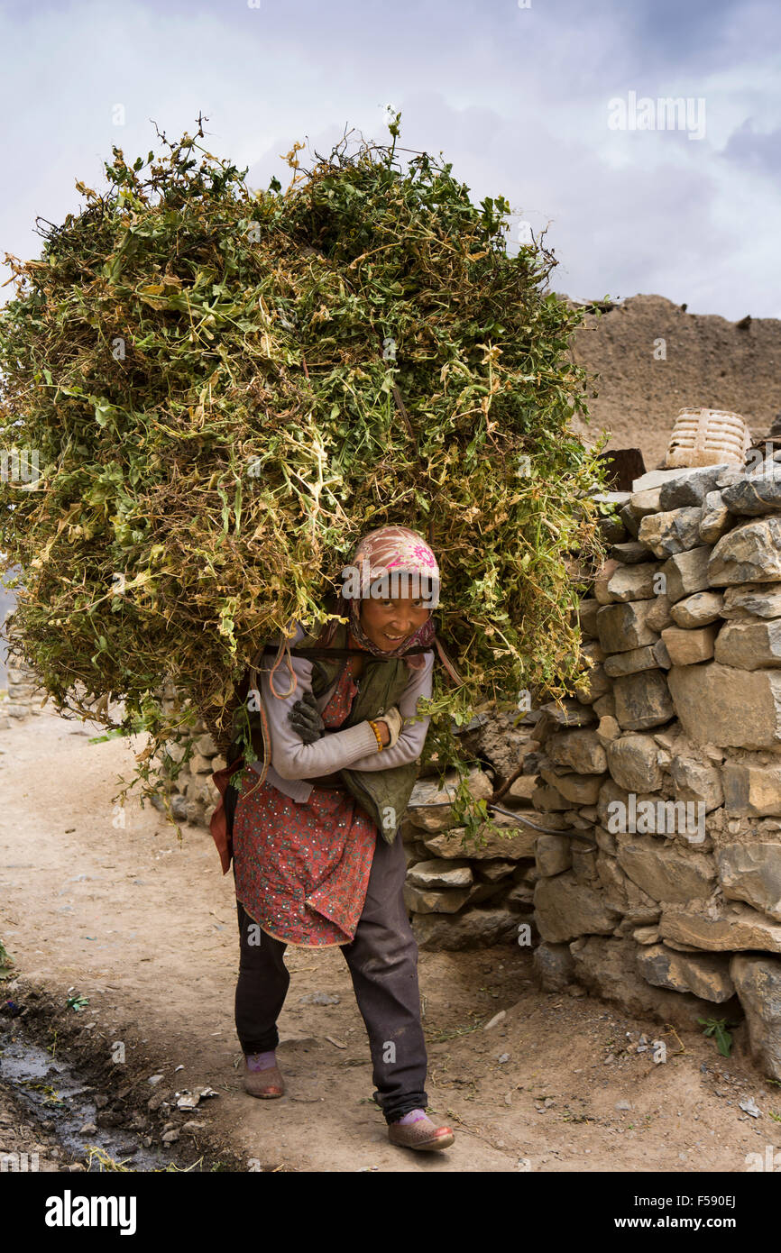 Carrying heavy load on his back hi-res stock photography and images - Alamy