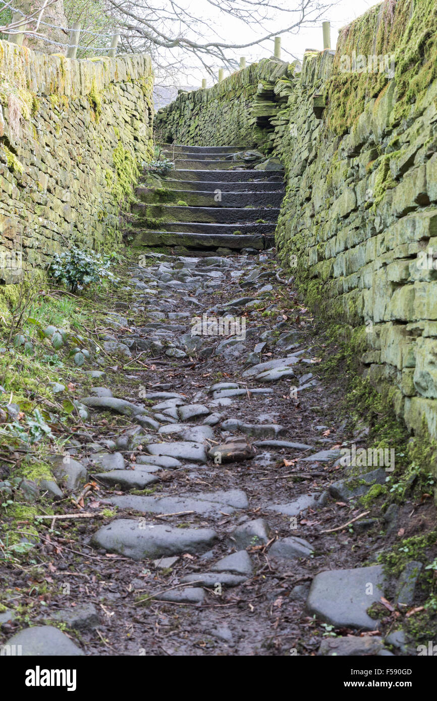 Footpath with steps hi-res stock photography and images - Alamy