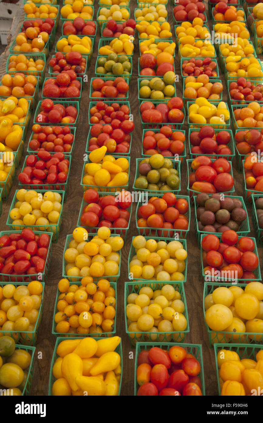 A bumper crop of various types of small tomatoes for sale at a farmers ...