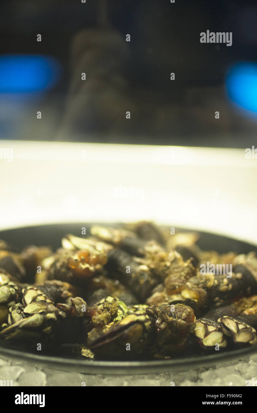 Barnacles in dish on ice in restaurant photo Stock Photo - Alamy