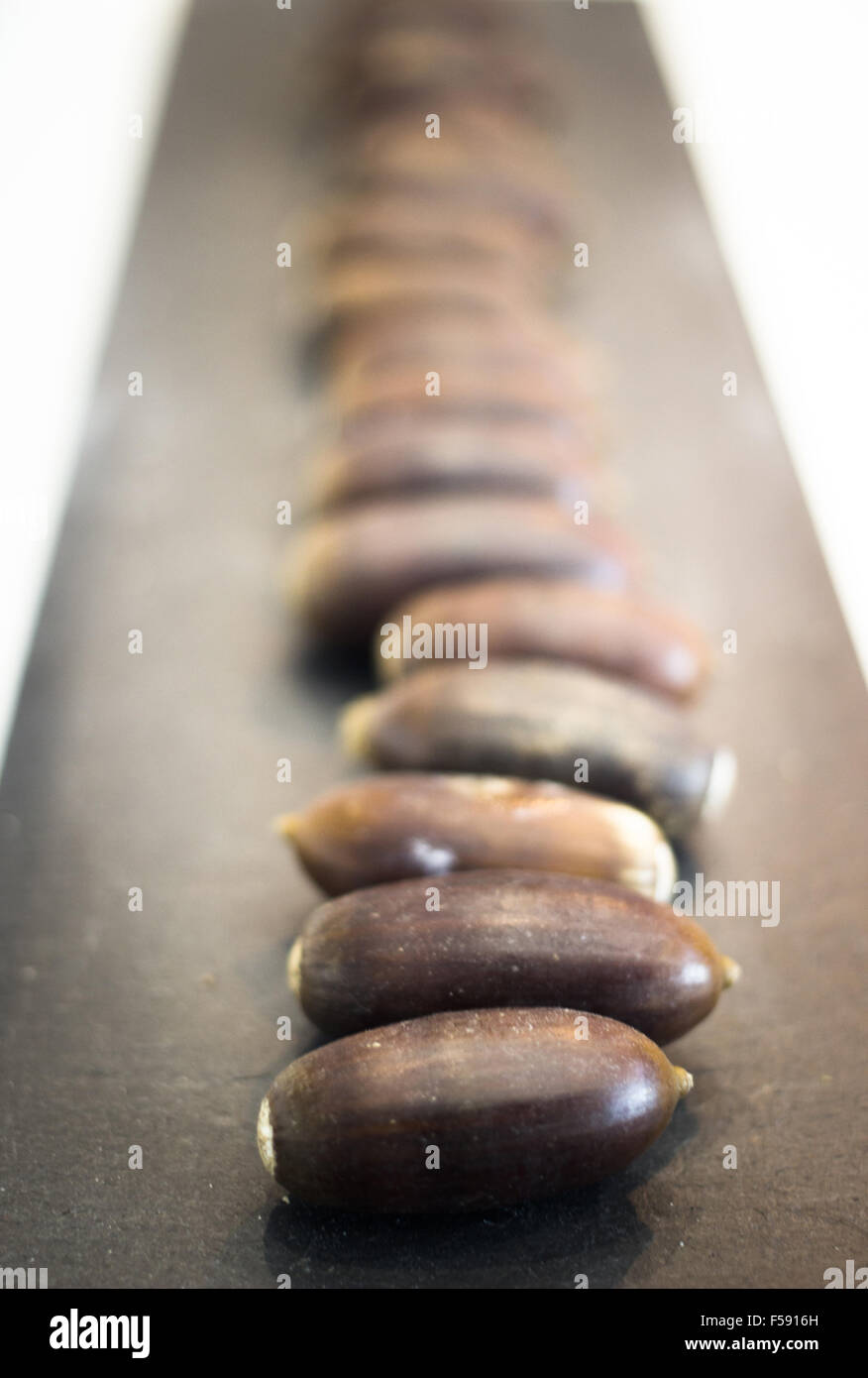 Acorns for acorn fed Iberian Spanish ham pig food Jamon Iberico de ...