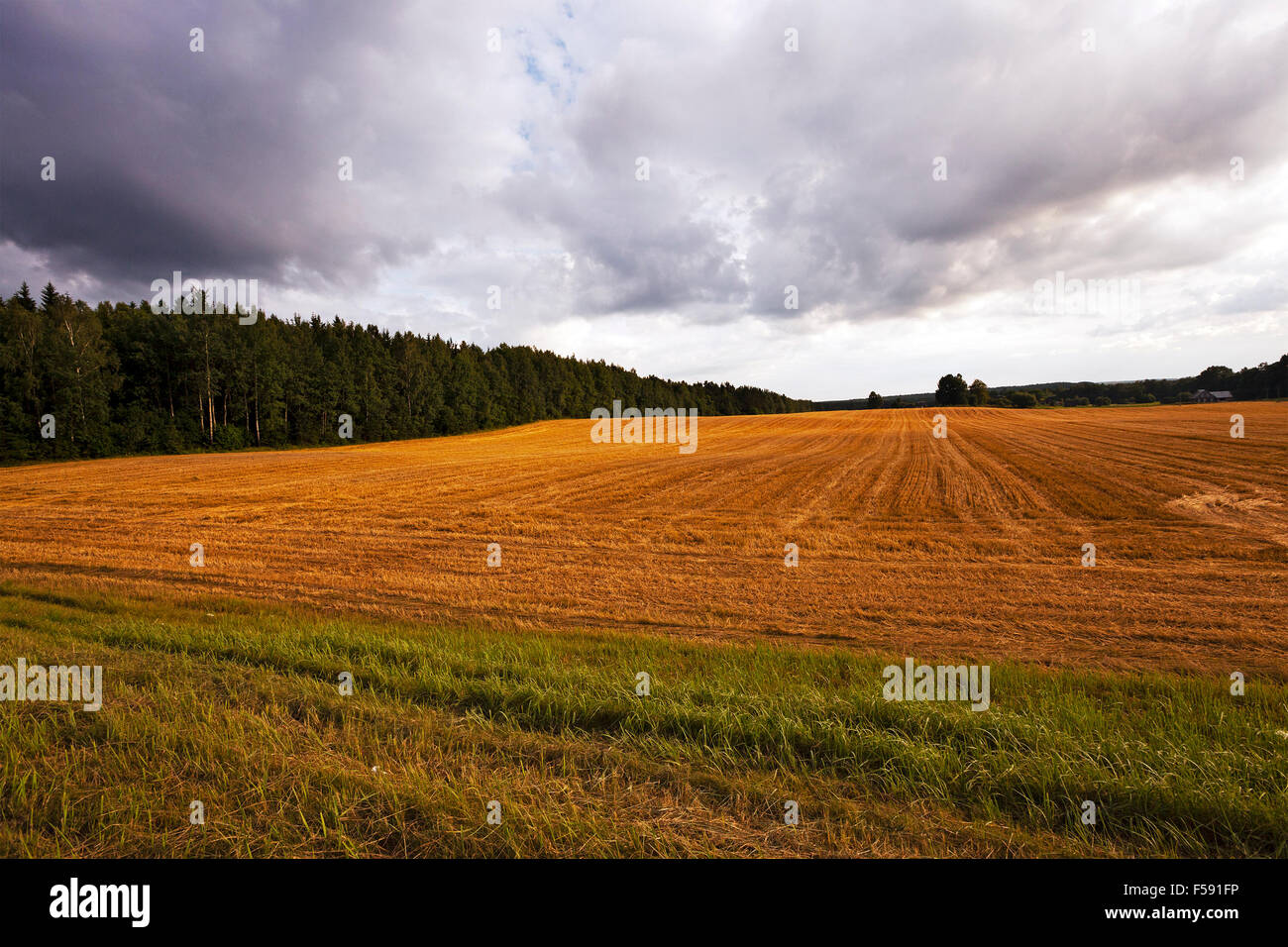 Night time over field hi-res stock photography and images - Alamy