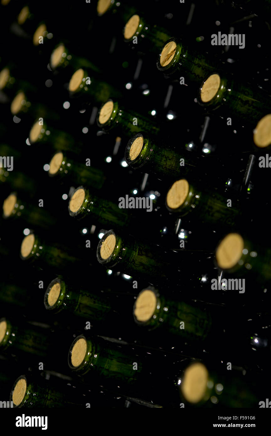 Large group of wine bottles in perspective at spanish cellar vertical ...