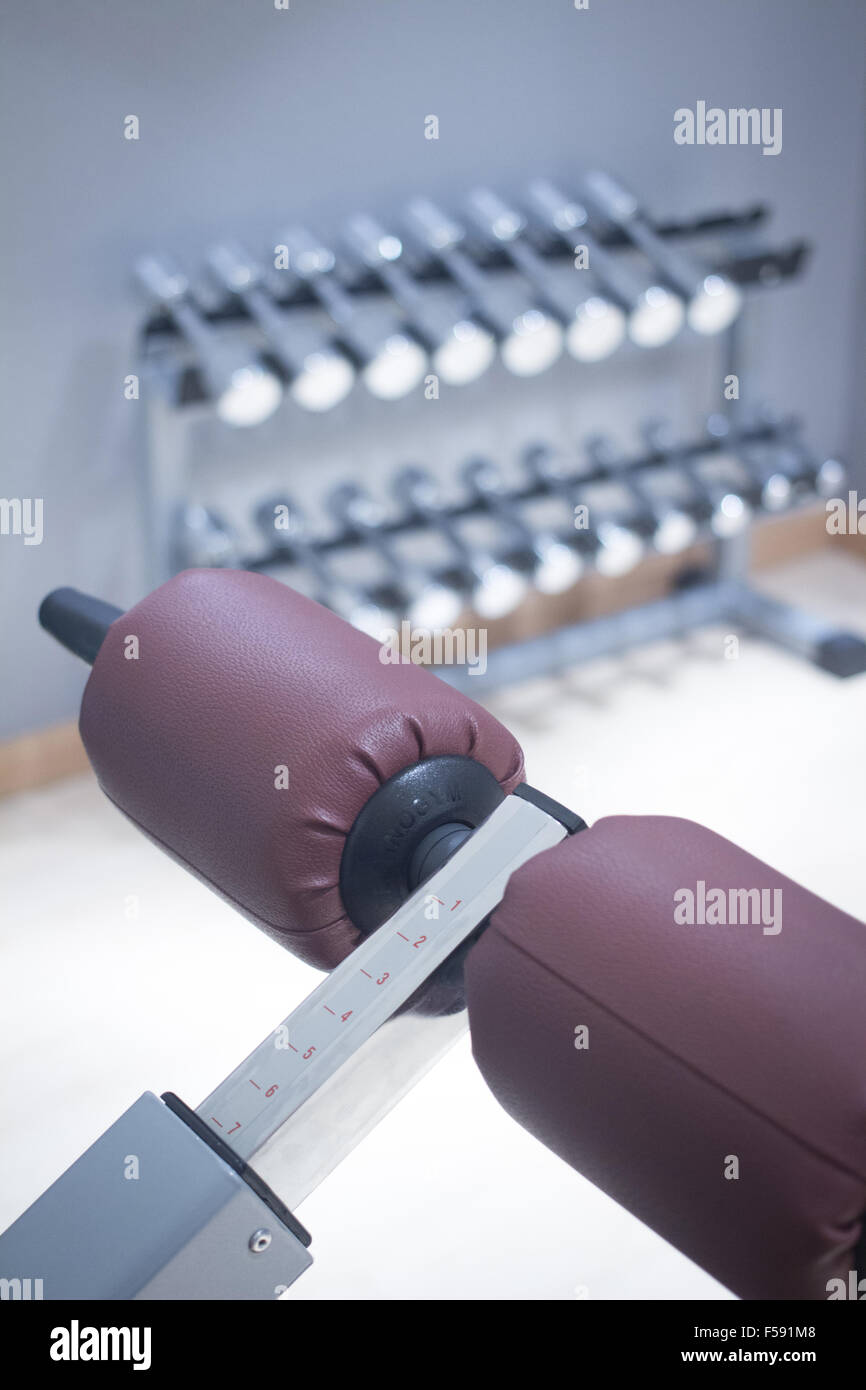 Dumbbells gym metal weights in exercise room in gym health club fitness ...