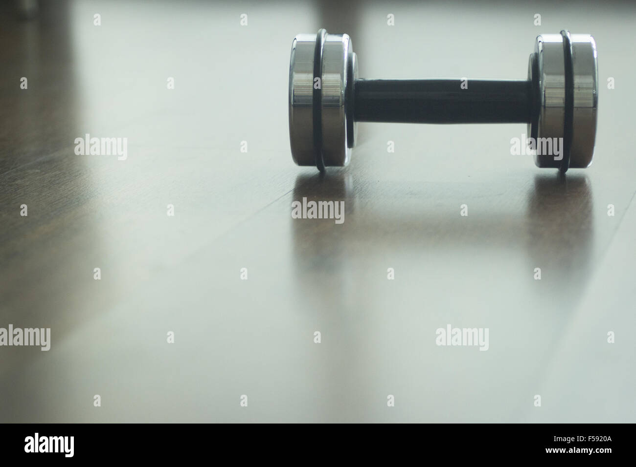 Dumbbell gym metal weights on wooden floor in exercise room in gym ...