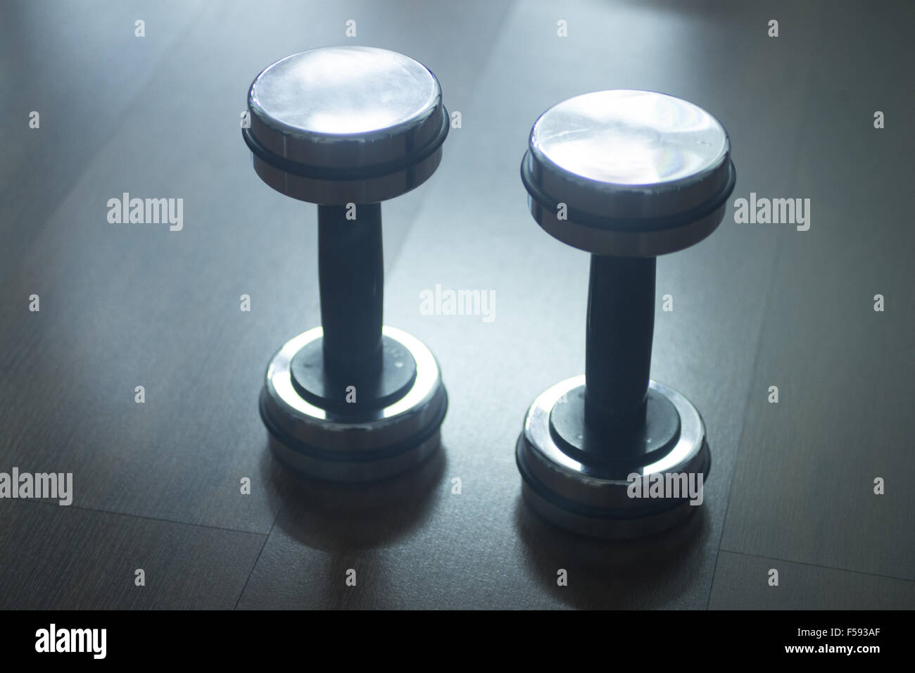 Dumbbell gym metal weights on wooden floor in exercise room in gym ...