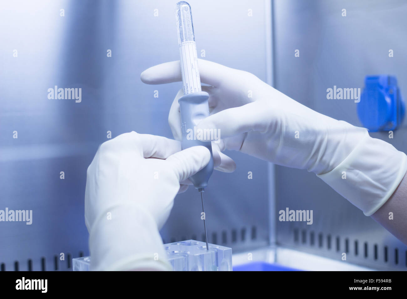 Hands of medical laboratory technician wearing white sterile gloves ...