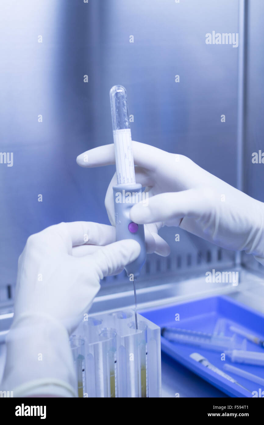 Hands of medical laboratory technician wearing white sterile gloves ...