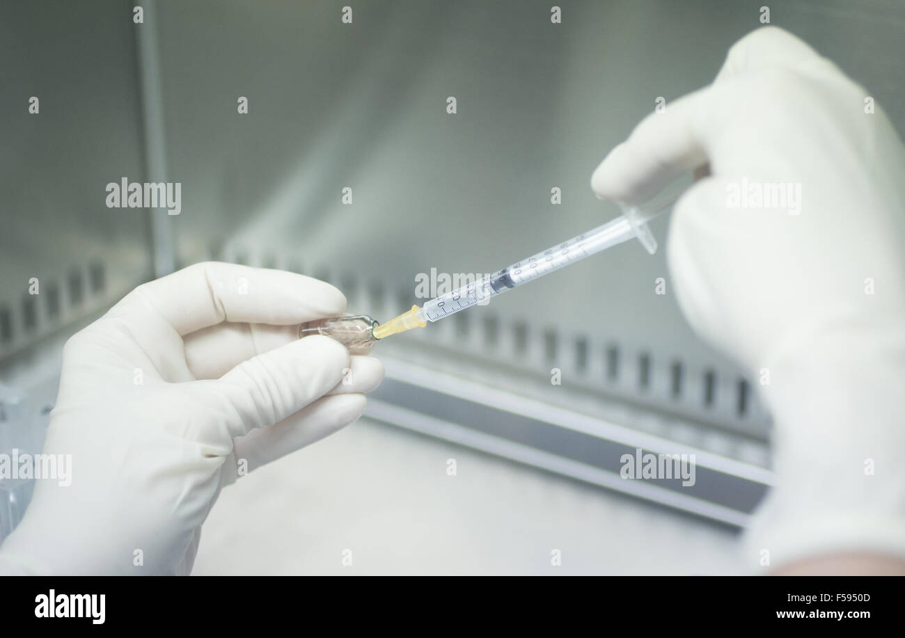 Hands of medical laboratory technician wearing white sterile gloves ...