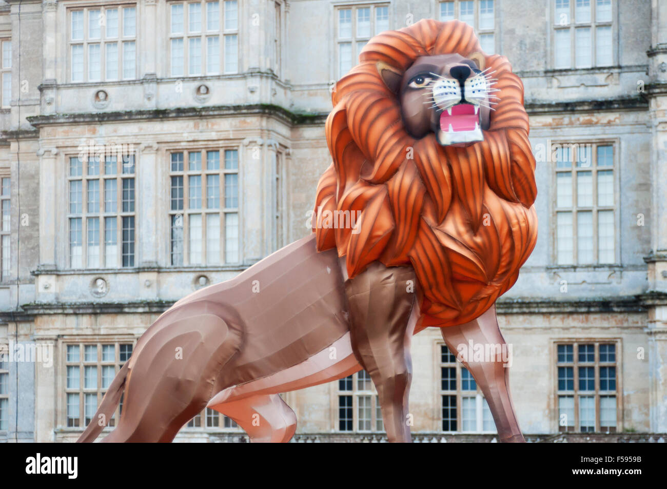Longleat The Lion King High Resolution Stock Photography and Images - Alamy
