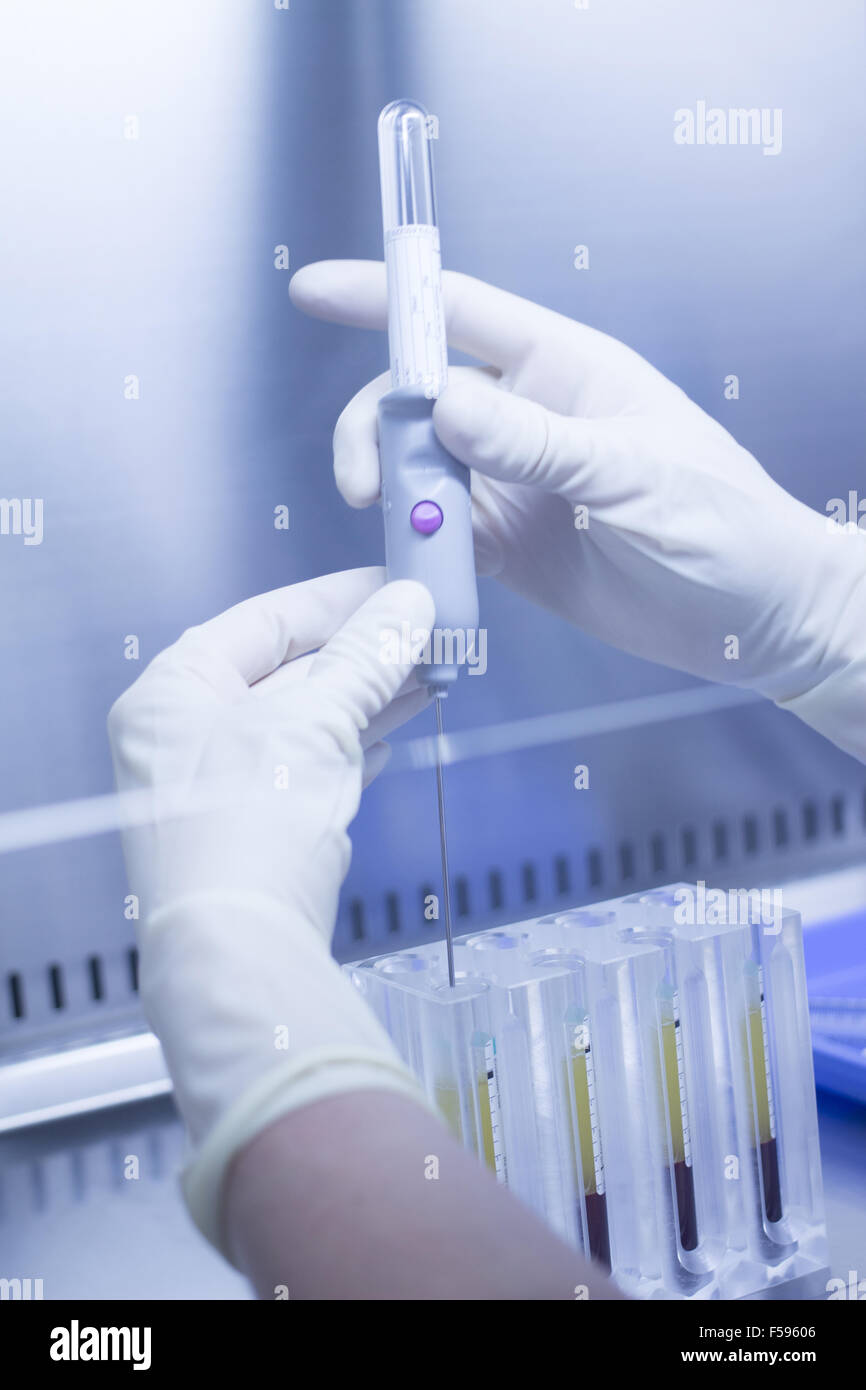 Hands of medical laboratory technician wearing white sterile gloves ...