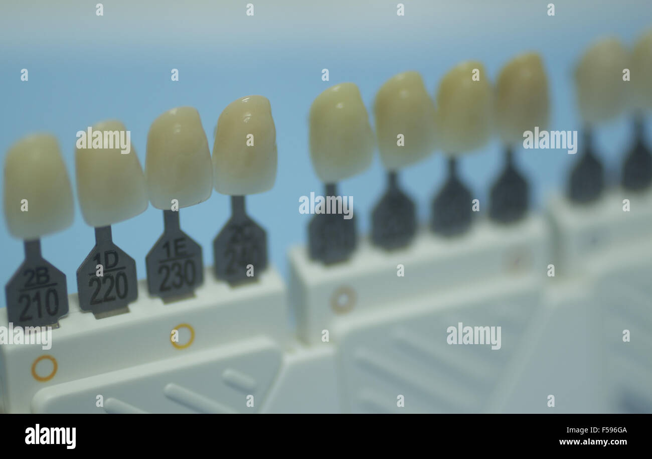Dentist's tooth color guide used to choose the appropriate natural ...