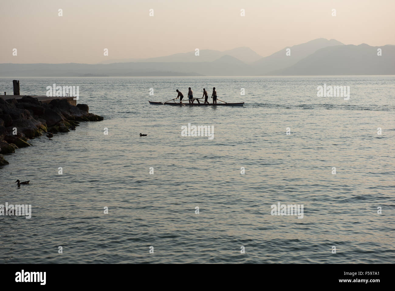 four rowers rowing a boat standing Stock Photo - Alamy