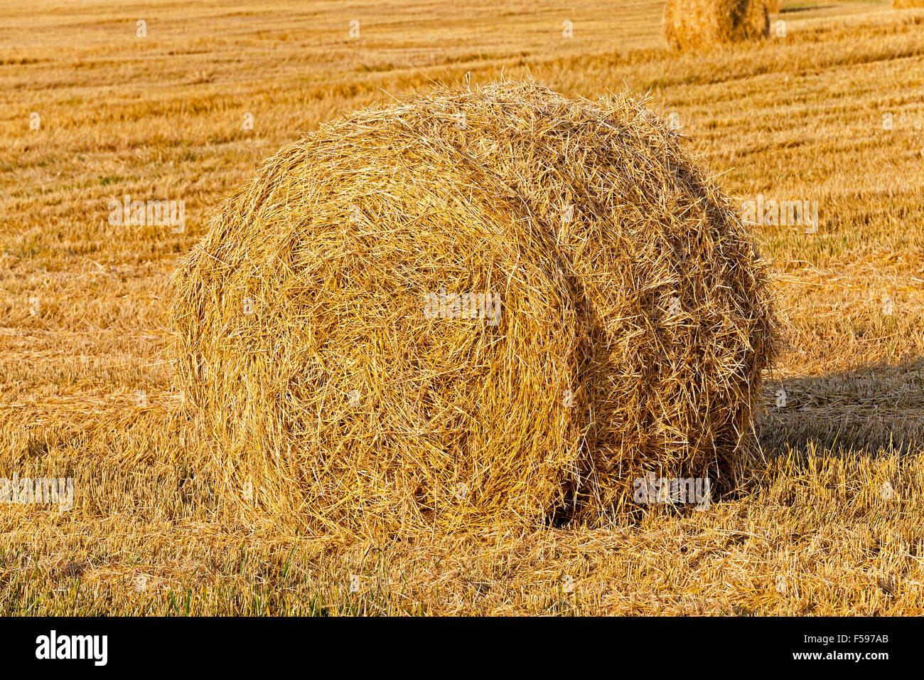 straw stack . wheat Stock Photo - Alamy