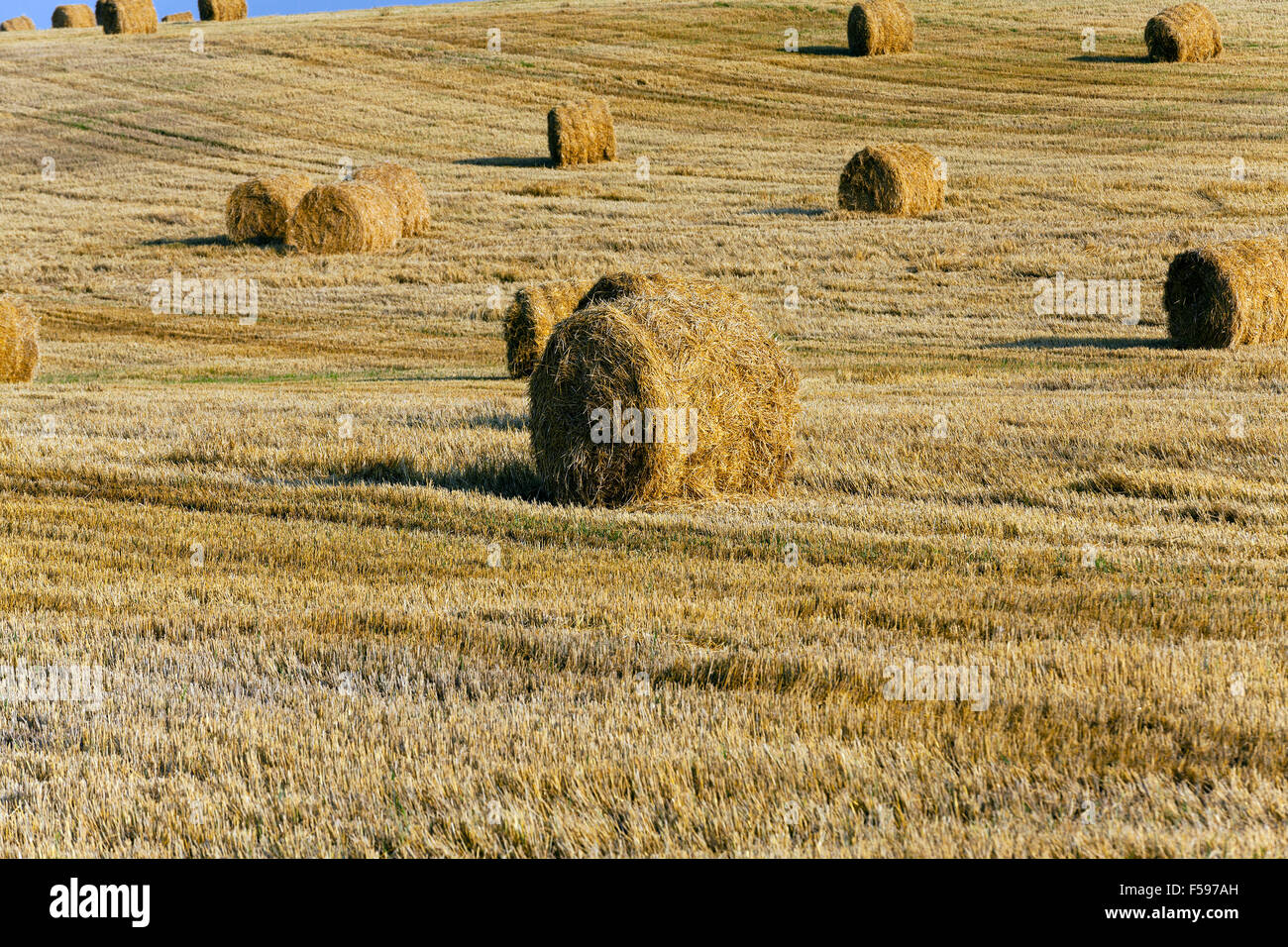 straw stack . harvesting Stock Photo - Alamy