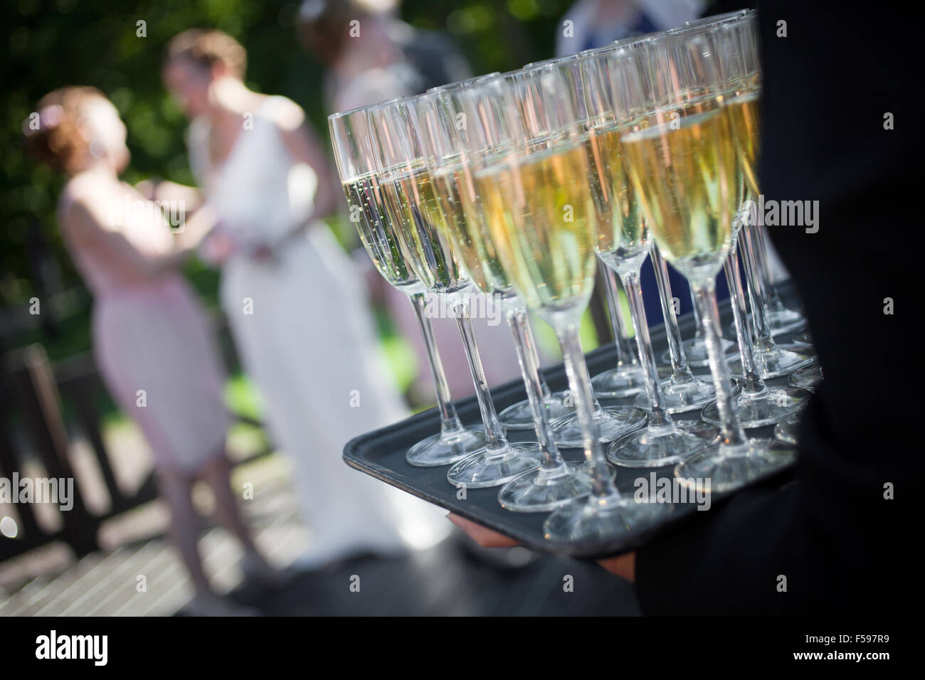 Wedding reception with sparkling wine or champagne Stock Photo - Alamy